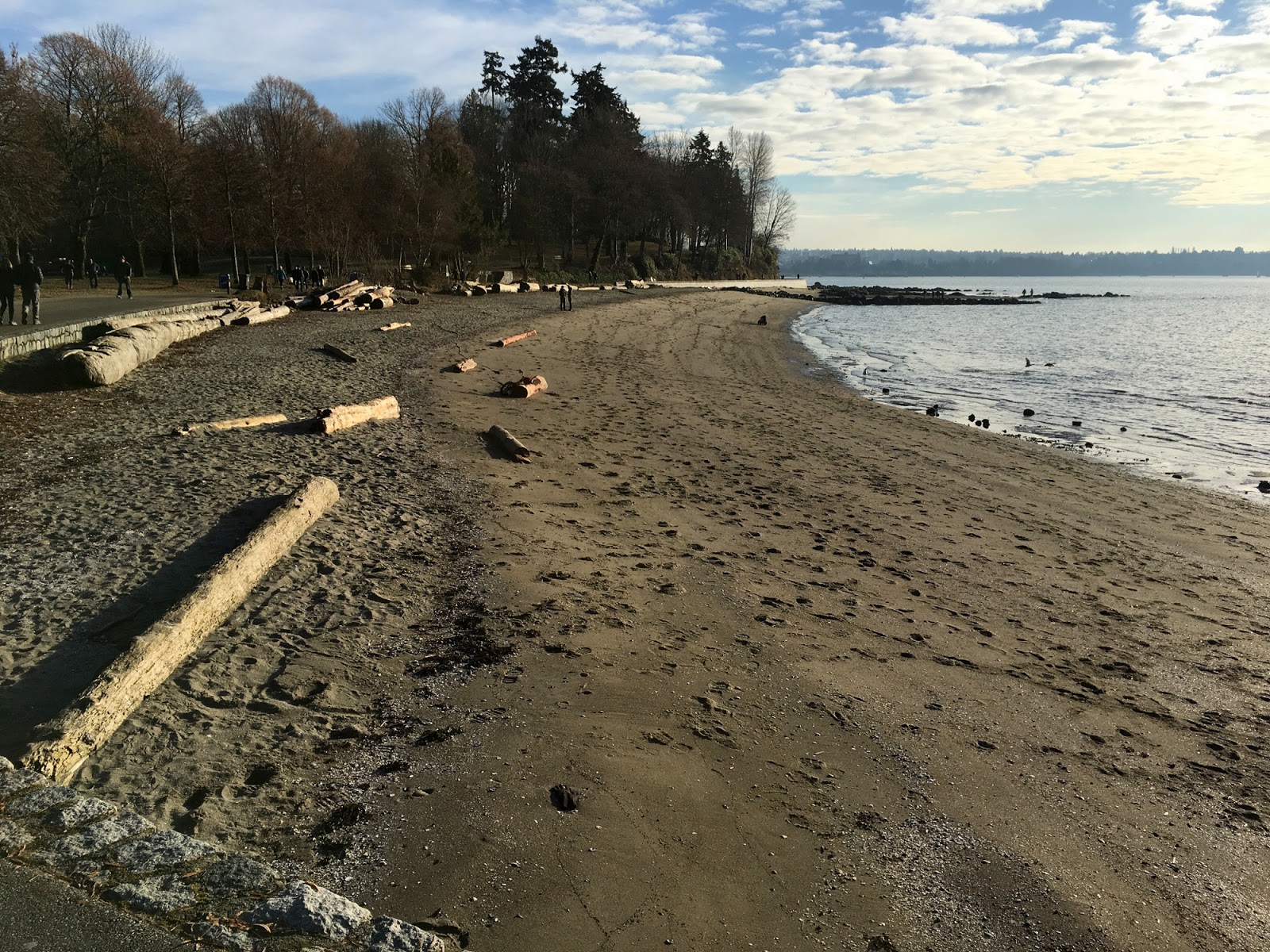 Stanley Park Beach