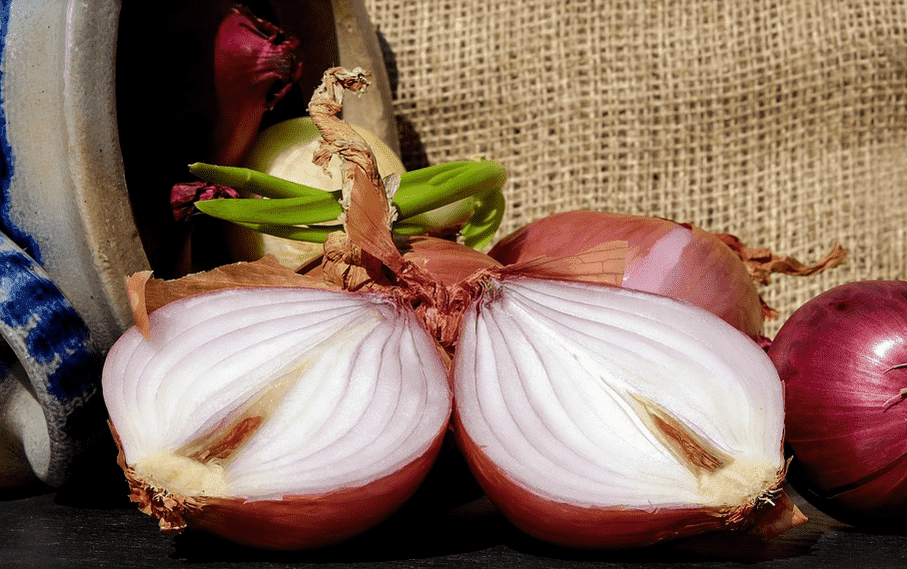 Los alimentos vegetales ~ Recetas que previenen y curan