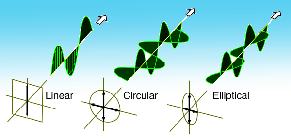 Chronostasis: Polarisasi Antena