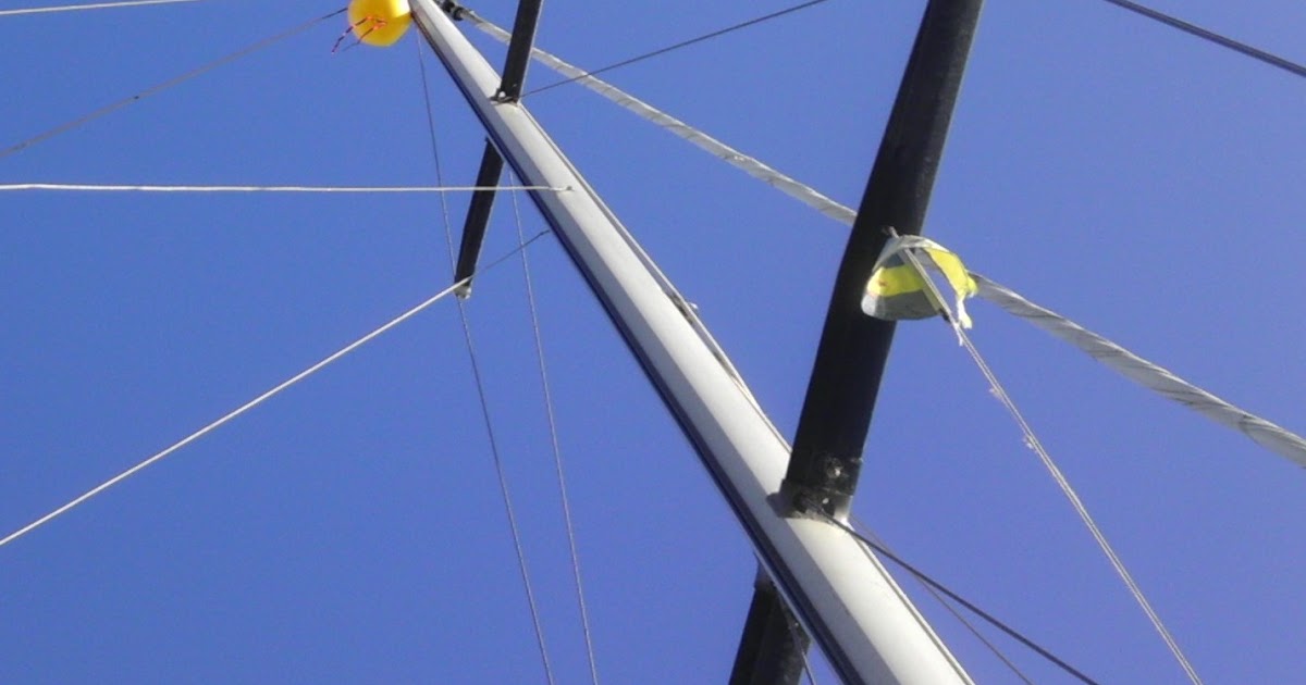 Splicing the Mainbrace: Fuck off, birds!