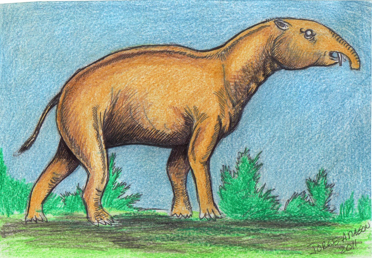 LOS ANIMALES PREHISTORICOS DE CHILE: LOS MAMÍFEROS FÓSILES DE CHILE.