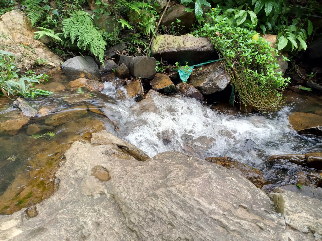 Tamilnadu Tourism: Devala Waterfalls, Gudalur, Nilgiris