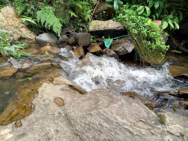 Tamilnadu Tourism: Devala Waterfalls, Gudalur, Nilgiris