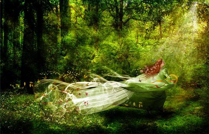 Mi Bosque Mágico: ¿Existe el Pais de las Hadas