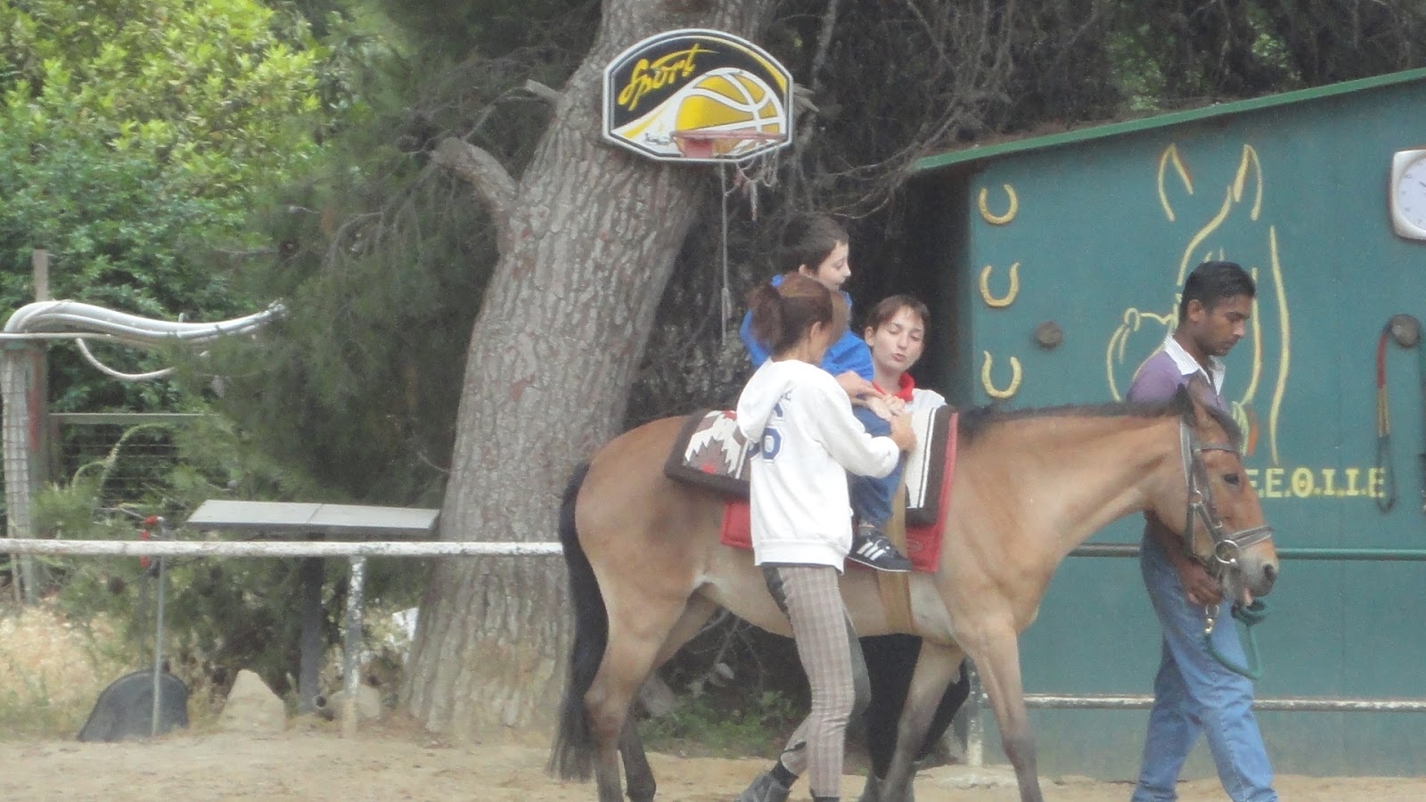 ΕΙΔΙΚΟ ΔΗΜ. ΣΧΟΛΕΙΟ ΑΙΓΑΛΕΩ ΓΙΑ ΠΑΙΔΙΑ ΜΕ ΚΙΝΗΤΙΚΑ ΠΡΟΒΛΗΜΑΤΑ
