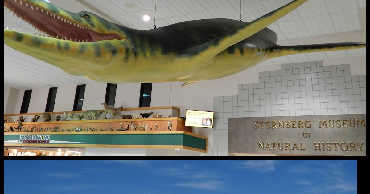 Kim's County Line: Kansas Staycation: Sternberg Museum of Natural History