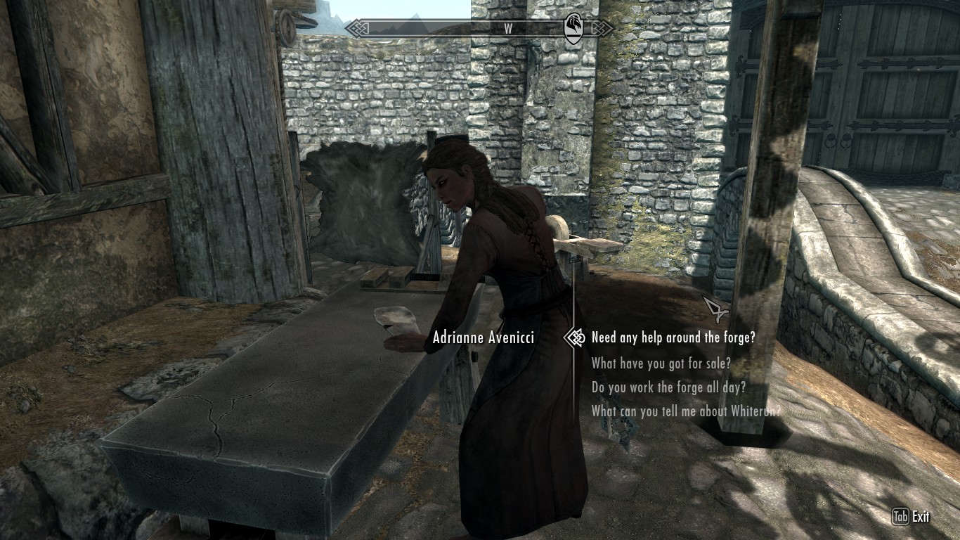 Wolfgar's Elder Scrolls Blog: Exploring Whiterun