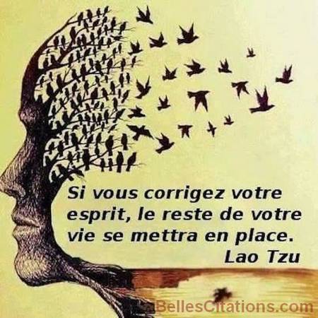 [75+] Citation Simple D Esprit Télécharger