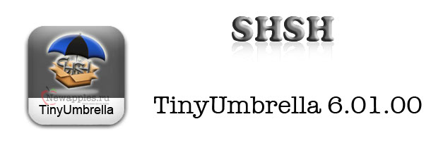 Save SHSH Blobs iOS 6-6.0.1 Menggunakan TinyUmbrella - Sarboah