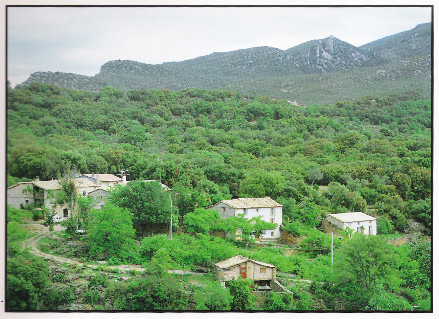 Ensueños de Guara: PASADO Y PRESENTE DEL VALLE DE RODELLAR