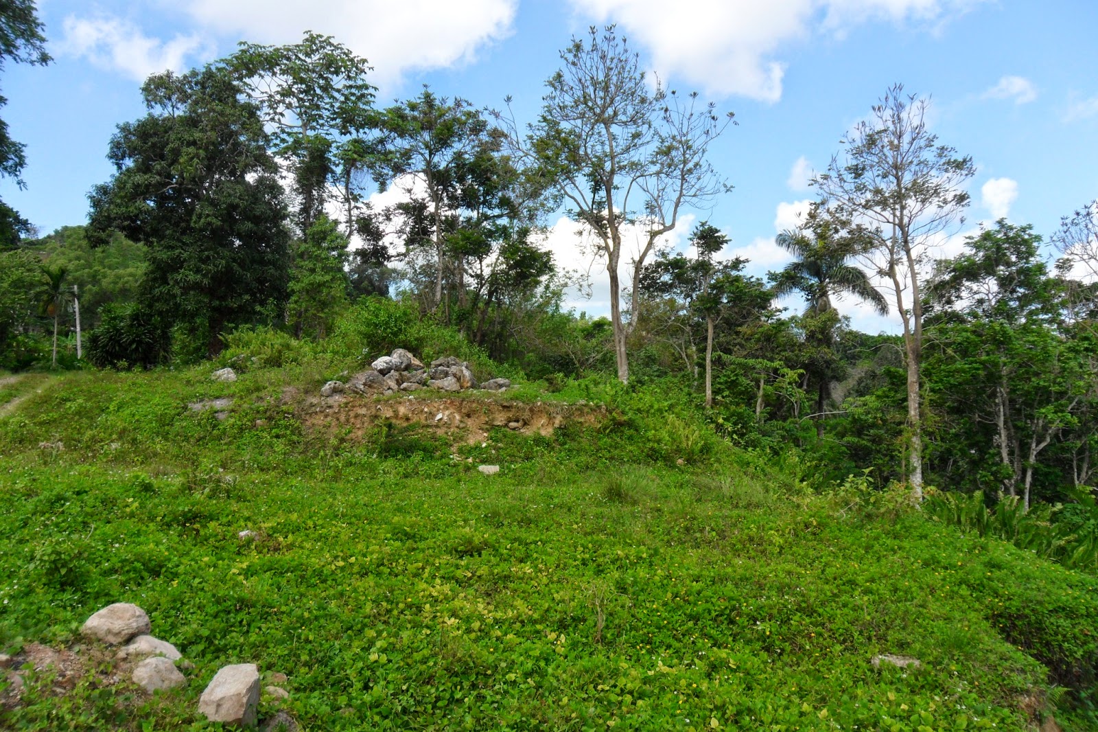 Suitable Lands in Jamaica