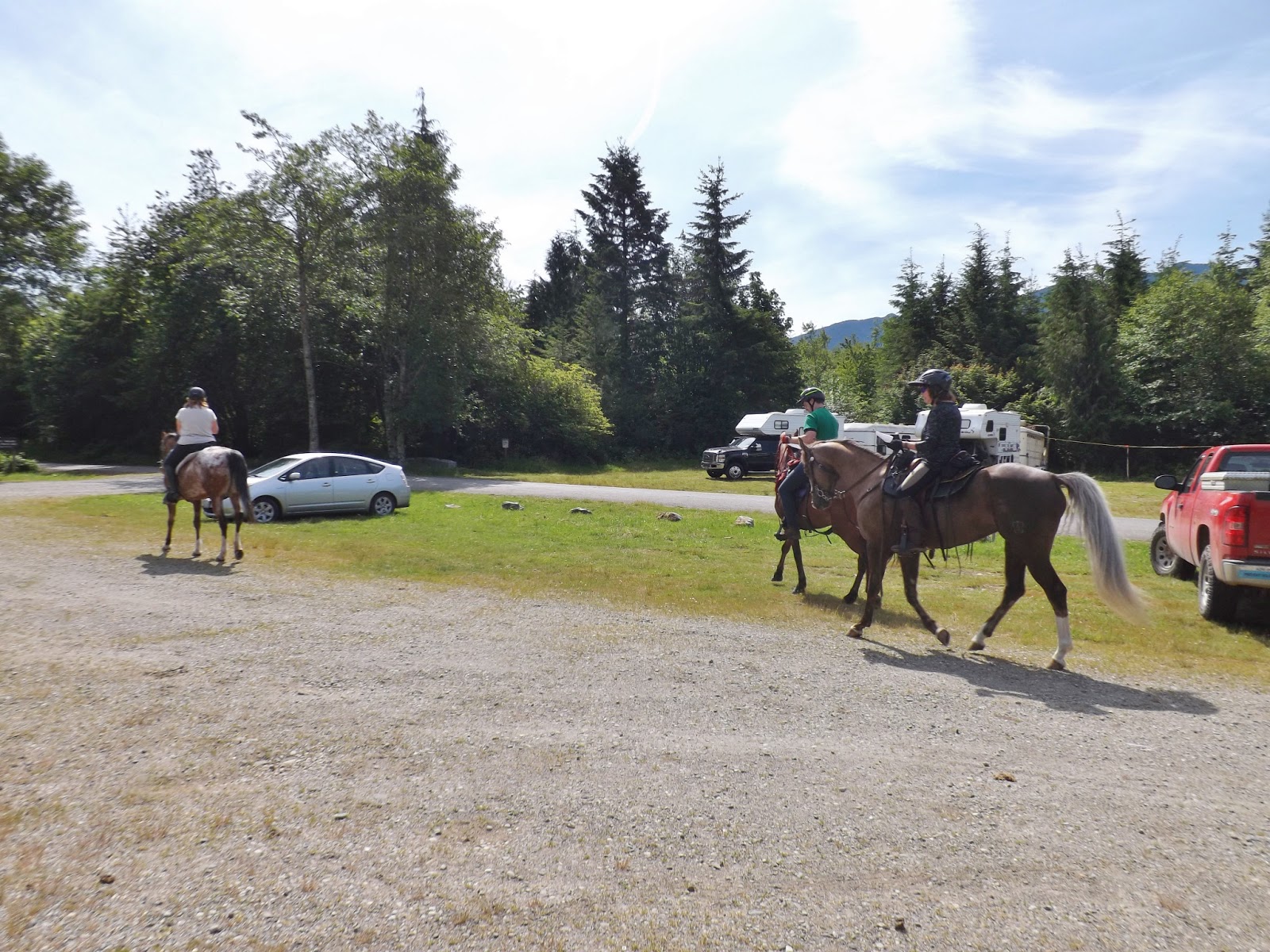 The Hoge Homestead ~: Competitive Mounted Orienteering!