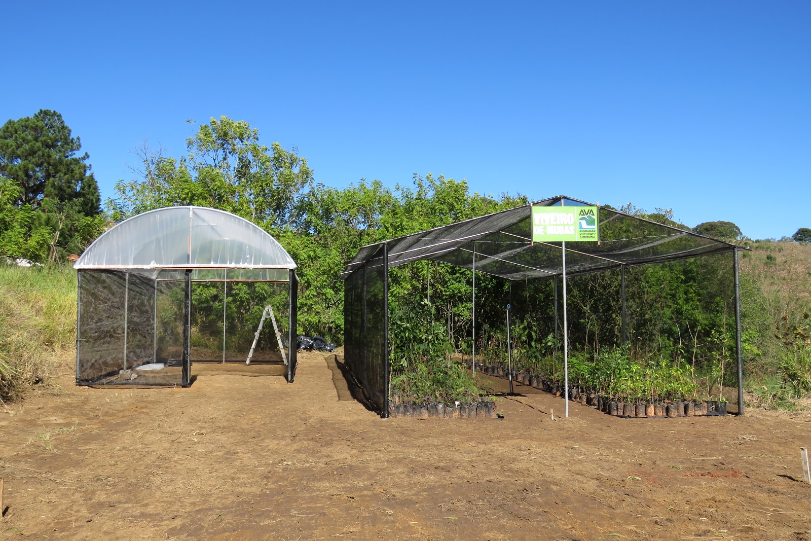 Notícias do Meio: AVA inaugura Viveiro de Mudas