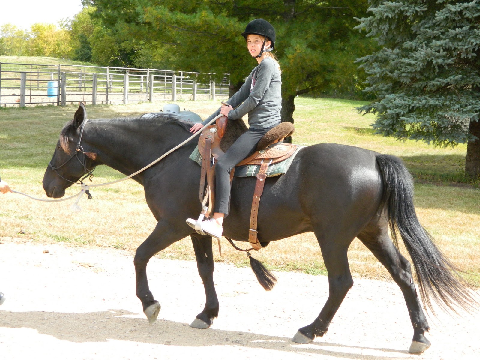 2011: Fall Horseback Riding