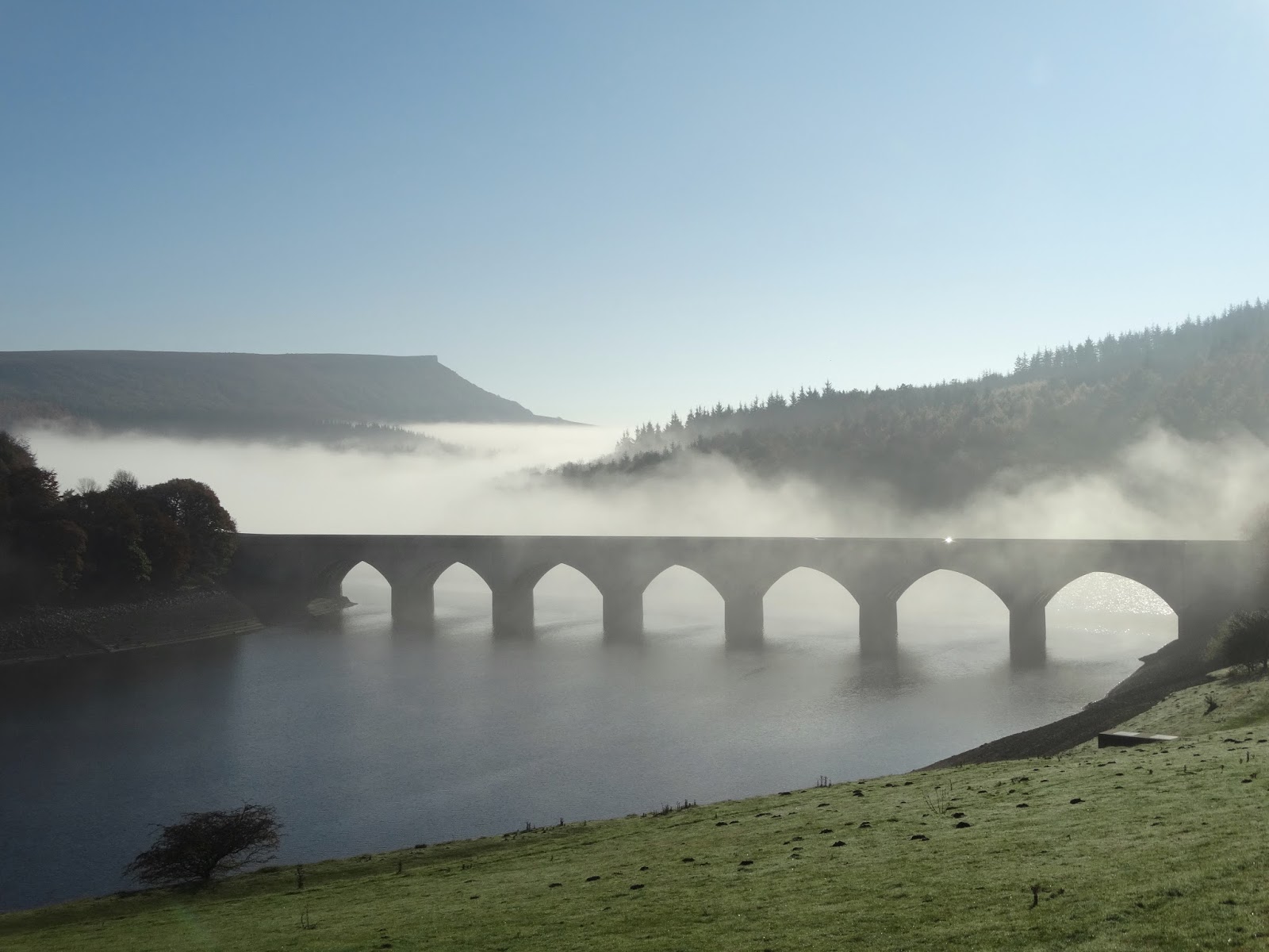Yorkshire Pudding: Derwent
