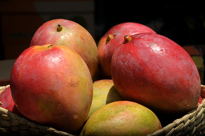 Terra Frutas Orgânicas: Manga orgânica, fruta sinônimo de verão