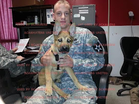 ScamHaters United .. Visit us also on Facebook and Instagram : STEVEN ...