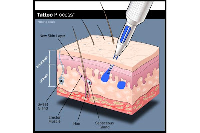 How Ink is Applied to the Skin During Tattooing « Best-Design-Idea