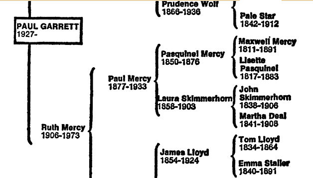 INNER TOOB: TELE-GENETICS: PAUL GARRETT'S FAMILY TREE