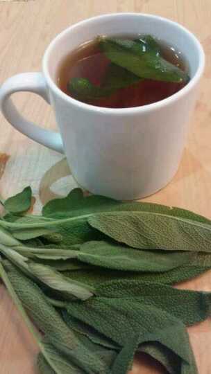 sarguna's fantabulous kitchen: Sage Herbal Tea