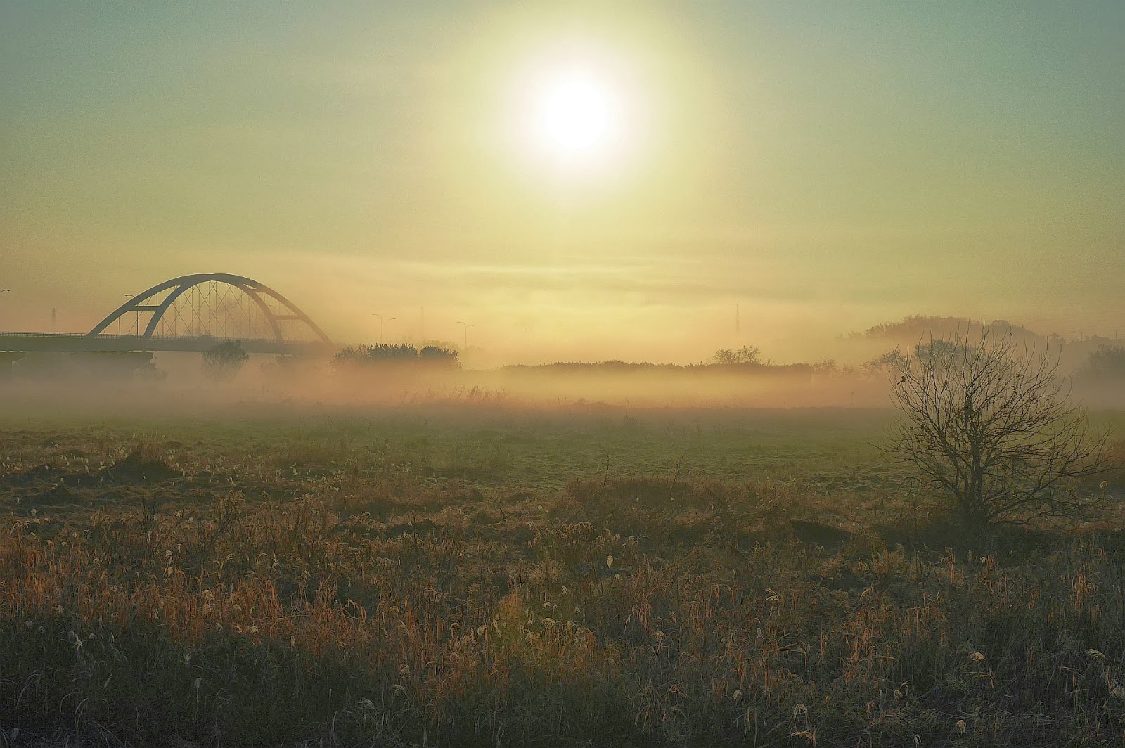 Photoholic's Photo Gallery: Morning mist