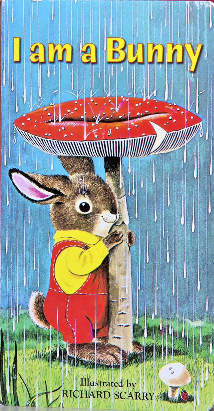 Little Paper Hen: I am a Bunny