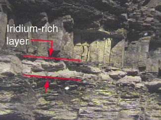 Creation - The Written Truth: K-T BOUNDARY, FOSSILS, ASTEROID, DINOSAUR ...