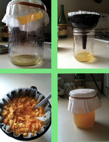 Limelight Musings: Essential Orange Peel Oil