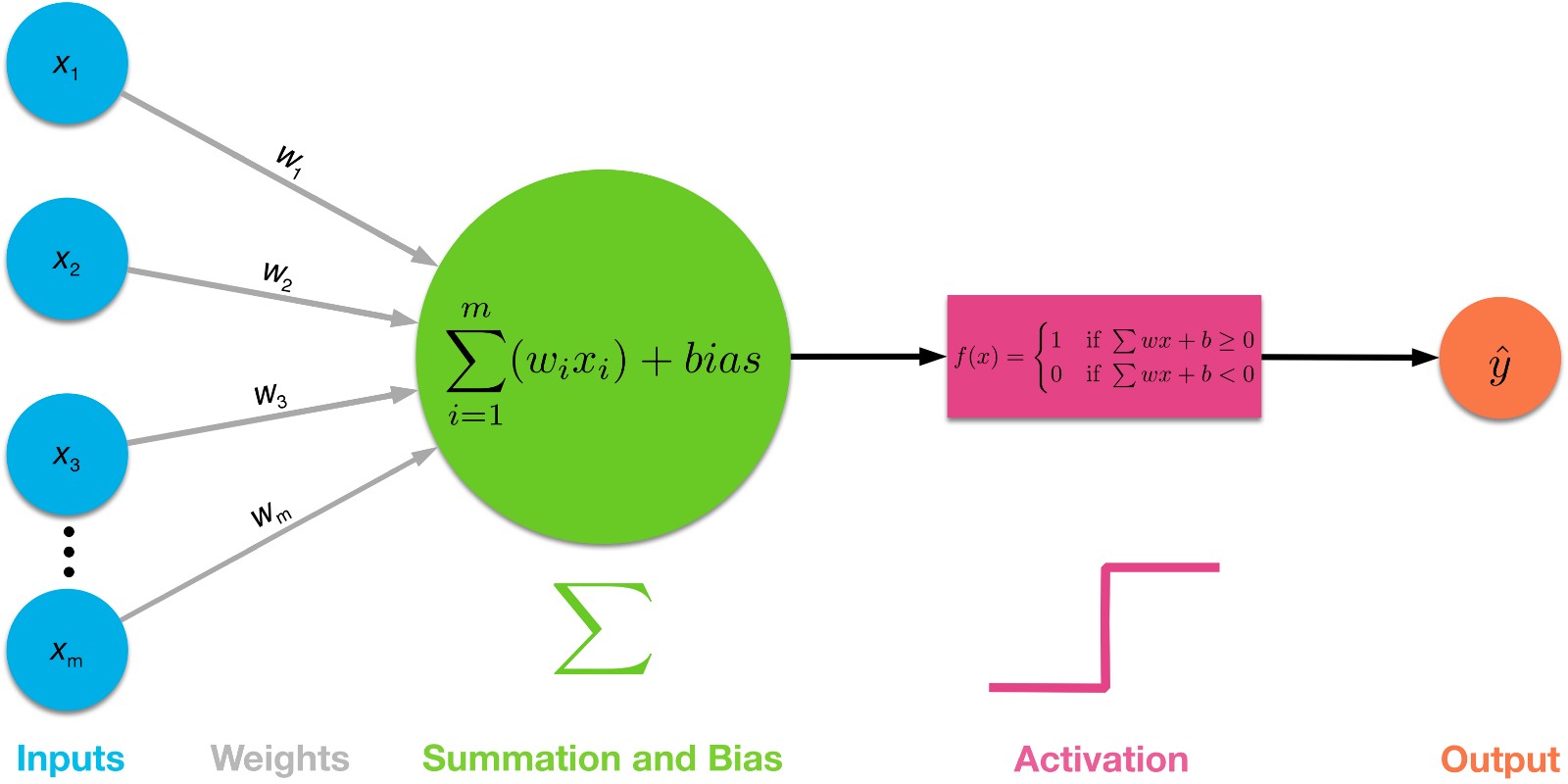 Activation Function in Neural Networks