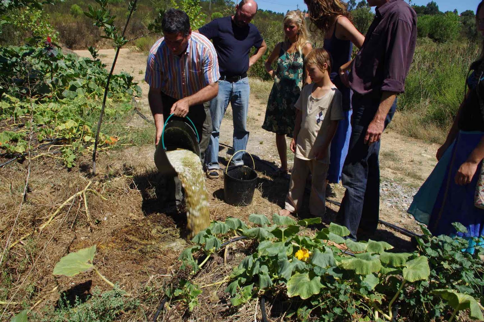 SOLAR CITIES: Using an Insinkerator to create a rich compost soil in 3 ...
