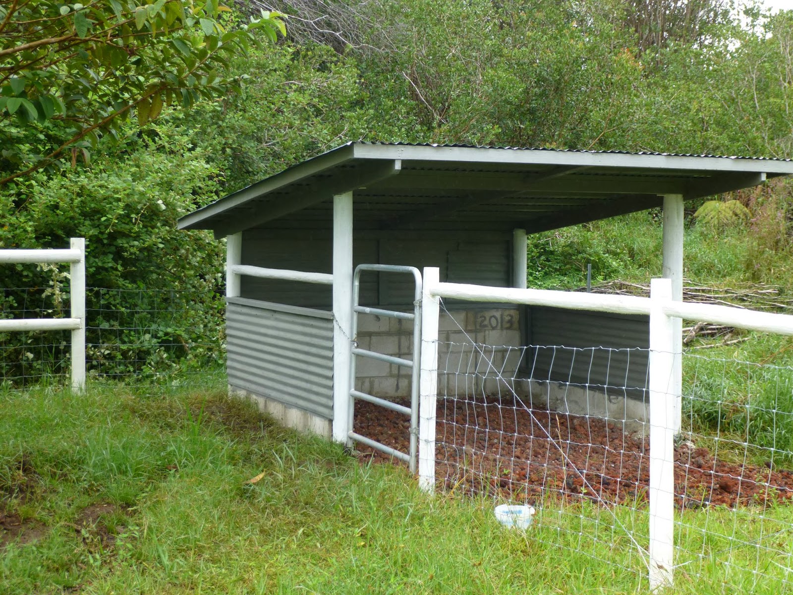 Hapless Homestead: November 2013