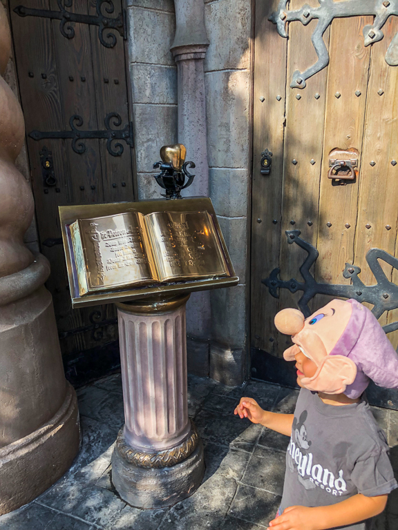 Celebrating Dwarfs at Disneyland and finally getting walked off a ride