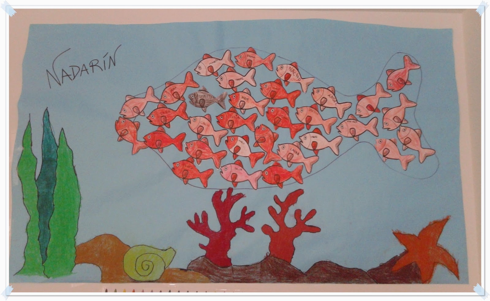 La clase de Laura: Nadarín