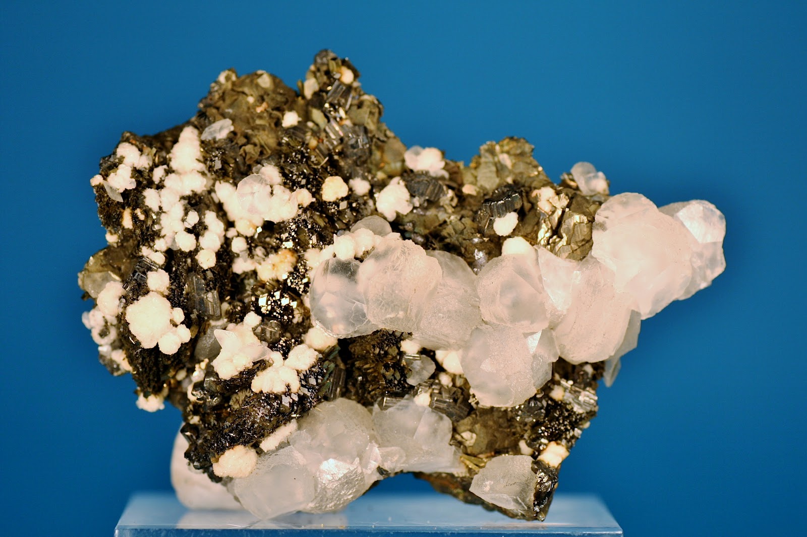 MINERALS GISPERT: MINERALS DE TREPCA. KOSOVO.