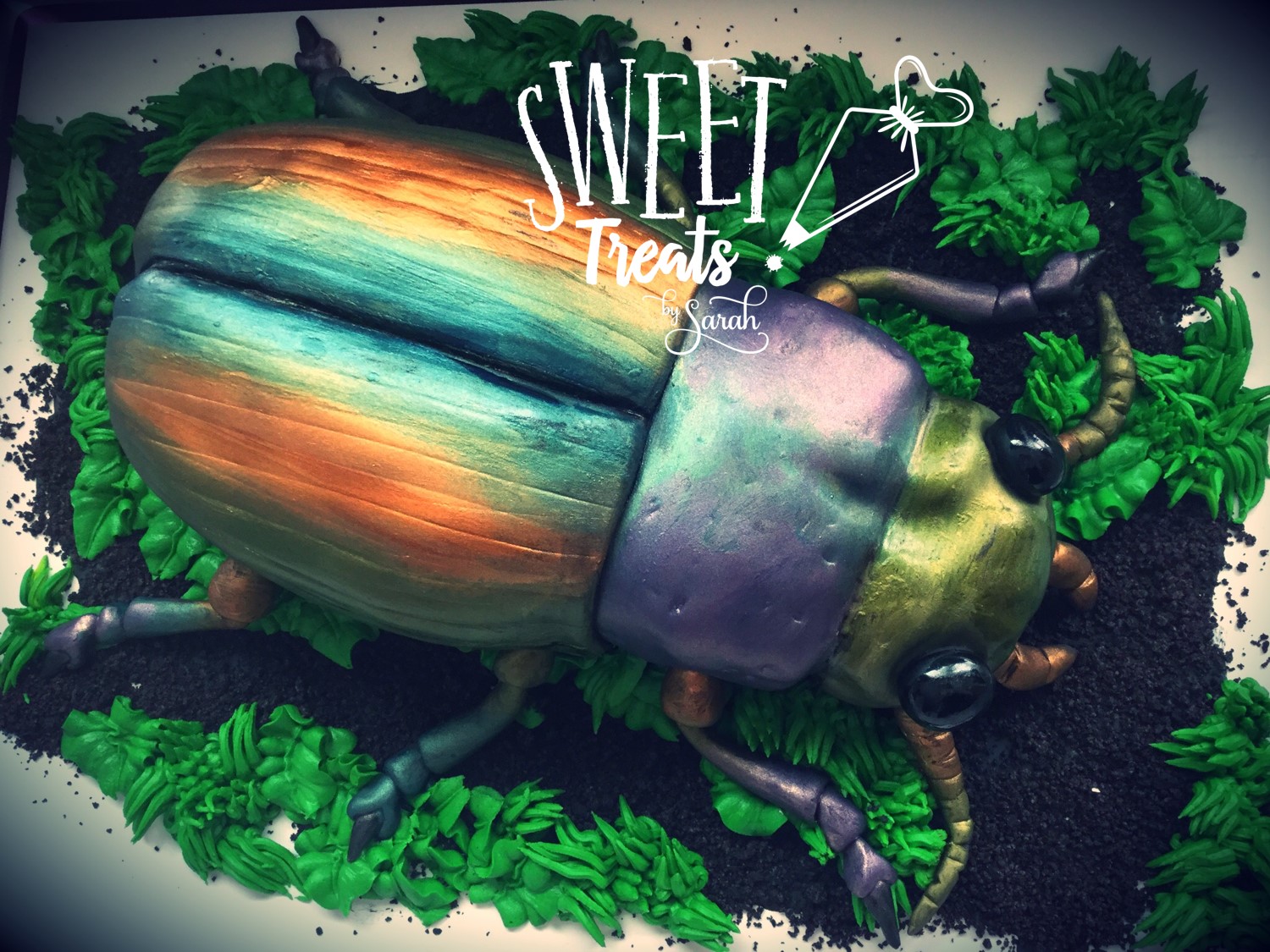 Sweet Treats by Sarah: Beetle Cake
