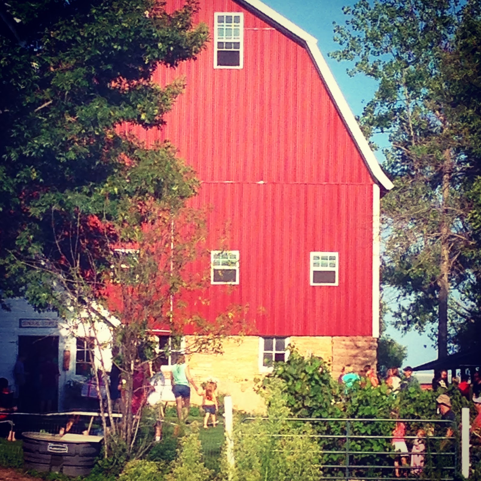 Brown Sparrow Studio