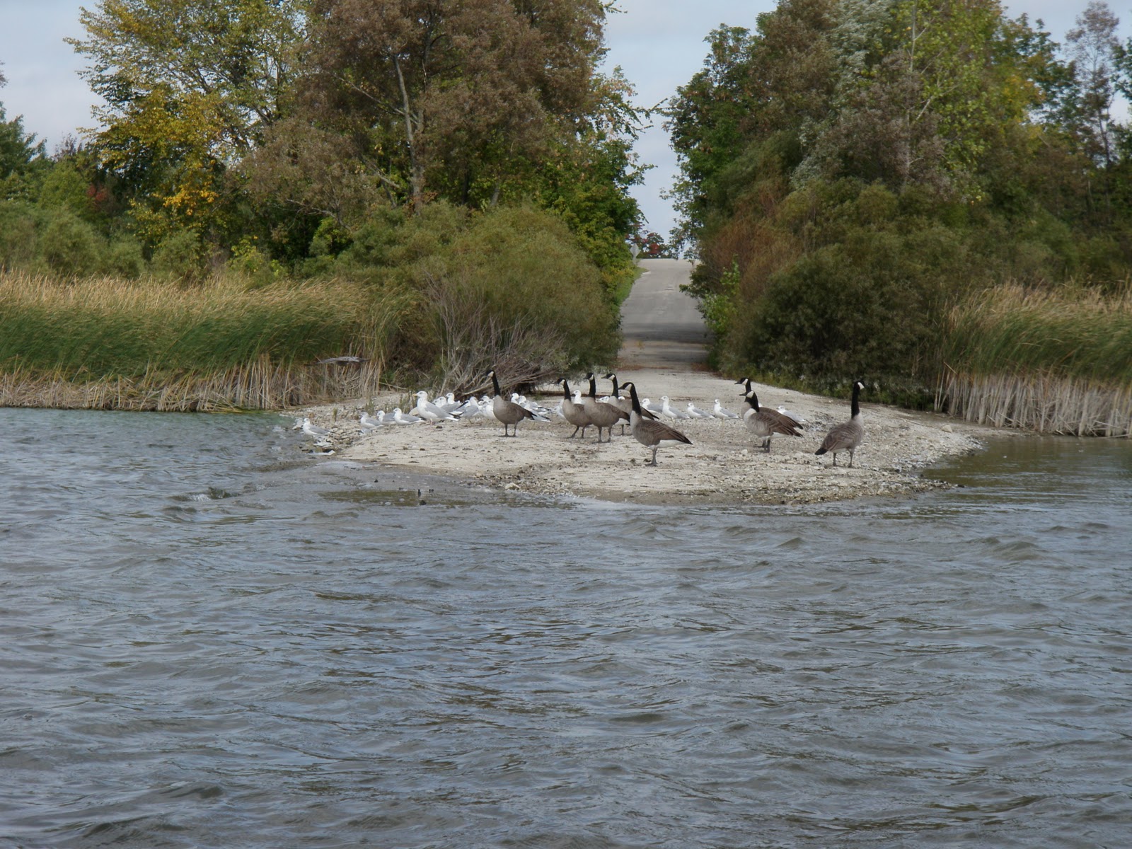 kayaker67adventures: Guelph Lake