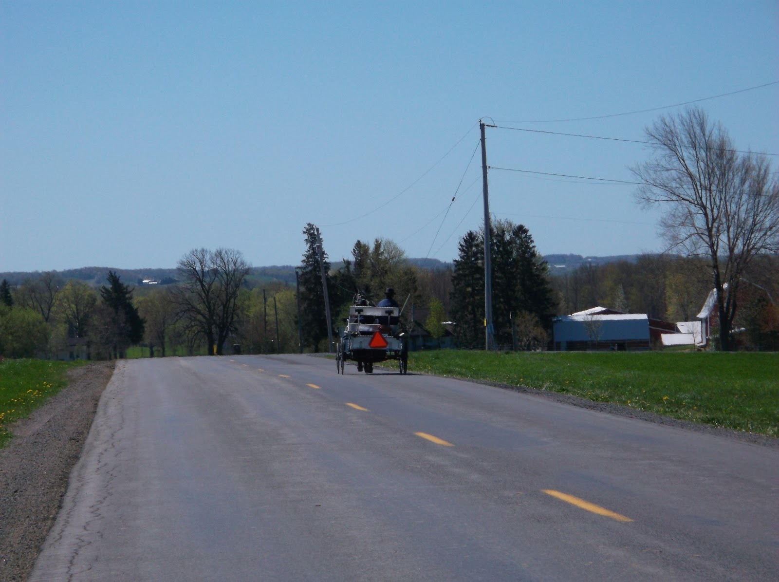 New York State of Mind: SPRING IN OLD ORDER MENNONITE AREA