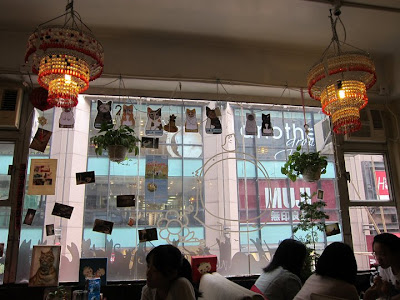 Catsparella: A Look Inside a Hong Kong Cat Cafe