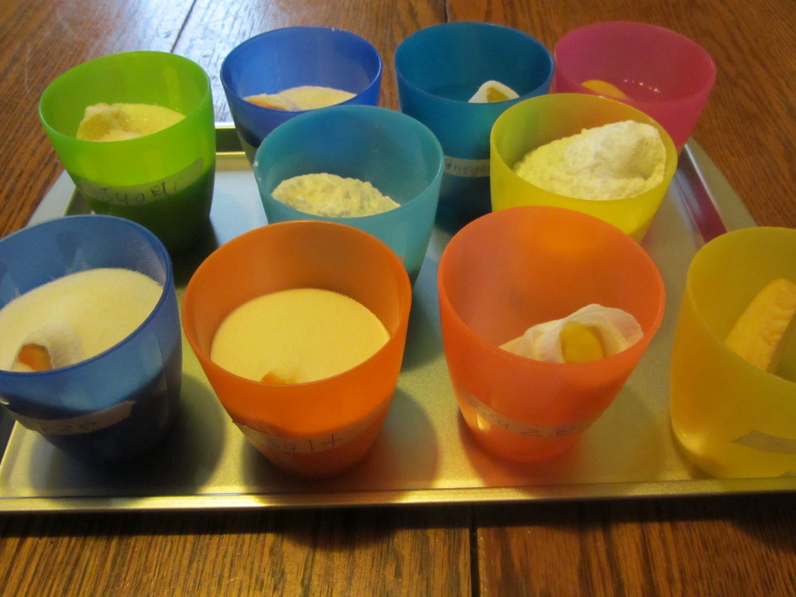 The Unlikely Homeschool: Ancient Egypt: Mummified Apple Experiment