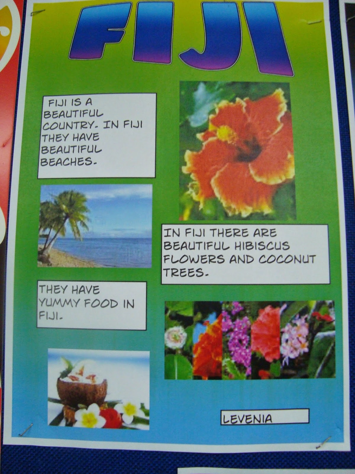 Welcome to Room 12's Amazing Blog 2018: Our Poems and Reports about Fiji