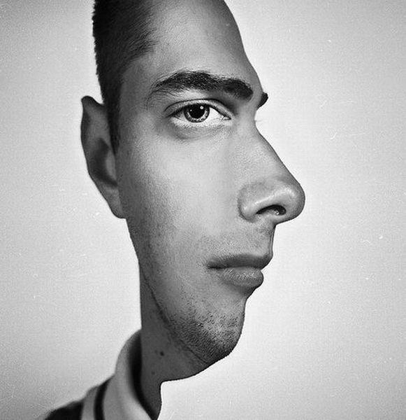 Two sides to a portrait. : r/illusionporn