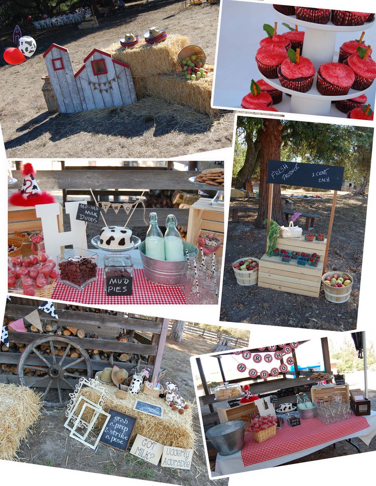 Barnyard Birthday Farm Party Ideas 2 Year Old See More barnyard-birthday-farm-party-ideas-2-year-old-see-more