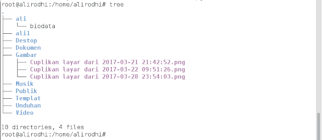 Cara Instalasi Tree dan Sudo