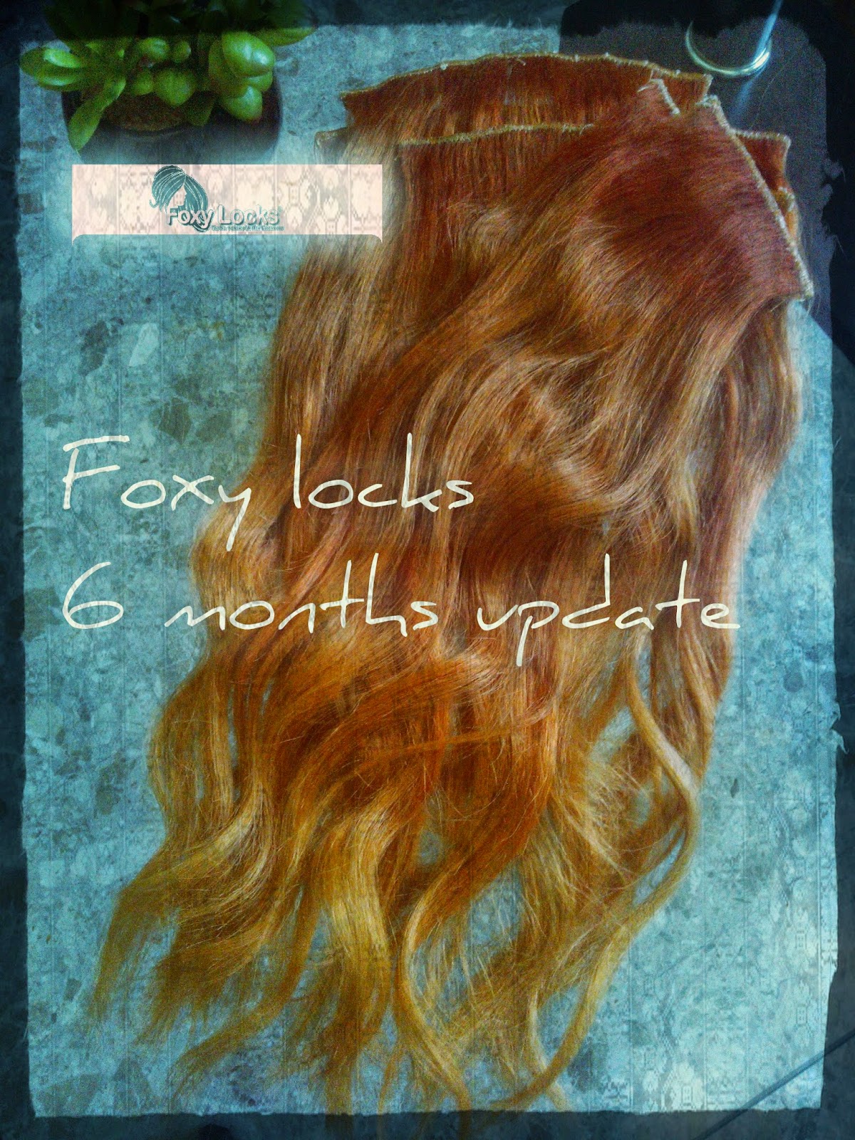 Gingerhead: Foxy Locks extension: six months update