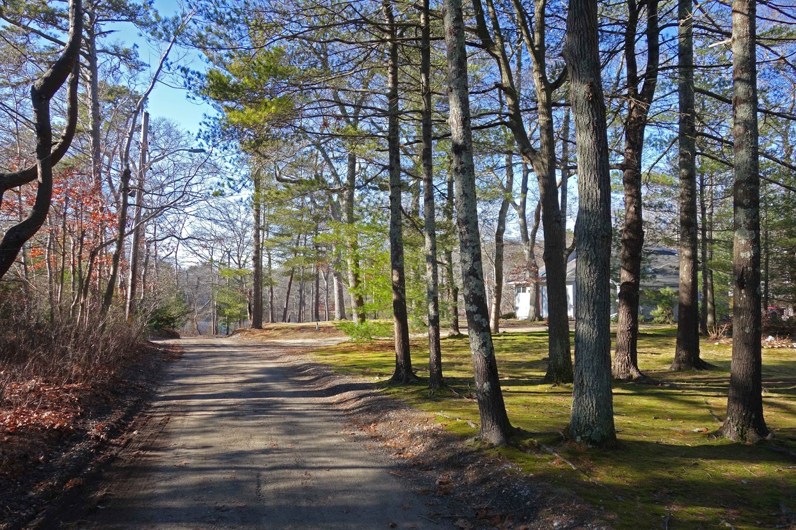 Joe's Retirement Blog: Deep Thoughts, Manomet, Plymouth, Massachusetts, USA