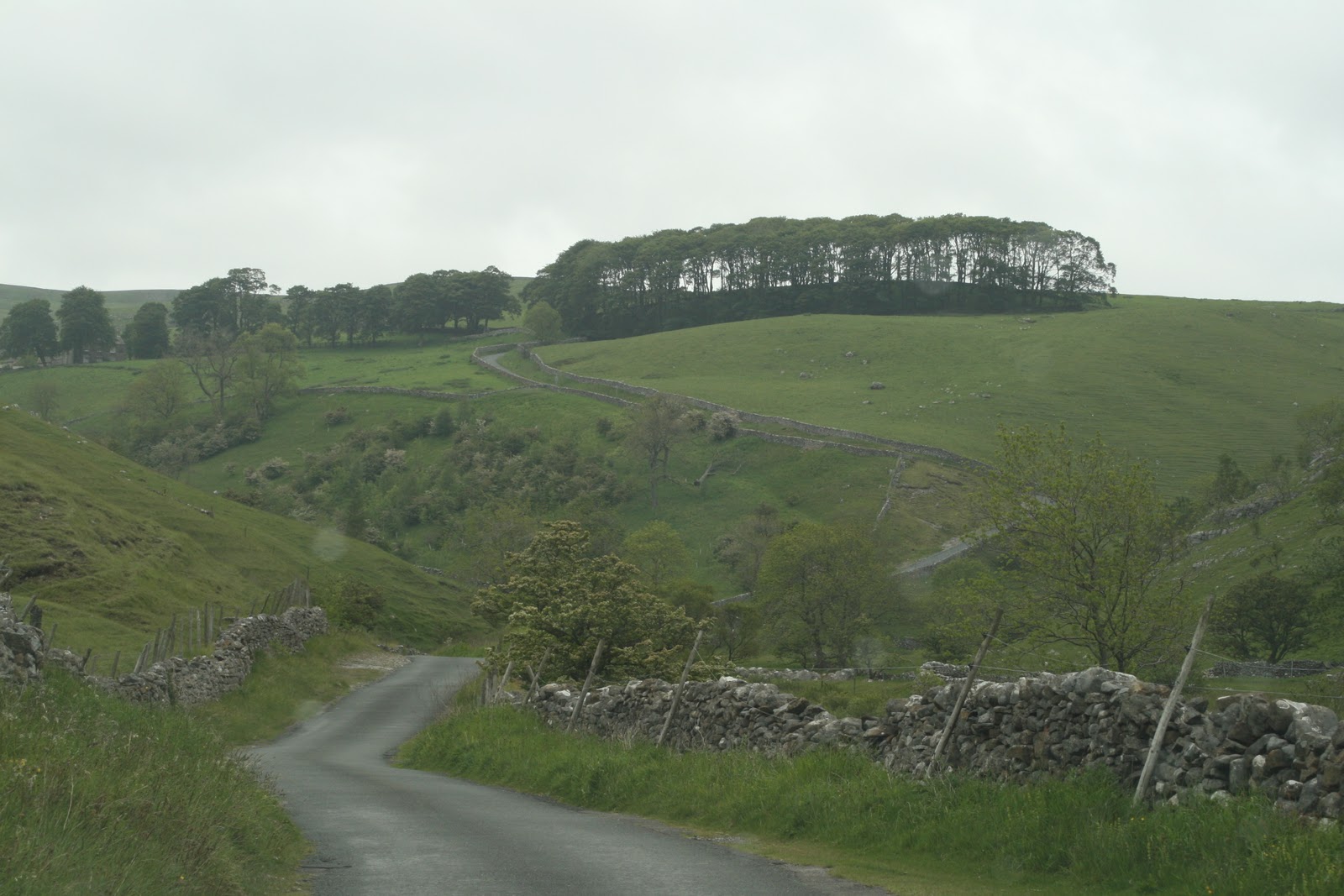 100 hills for George: Hill no 61 – 45 Park Rash