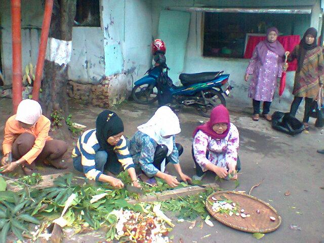 Kebun TOGA RW 07 ~ RW 07 SLIPI