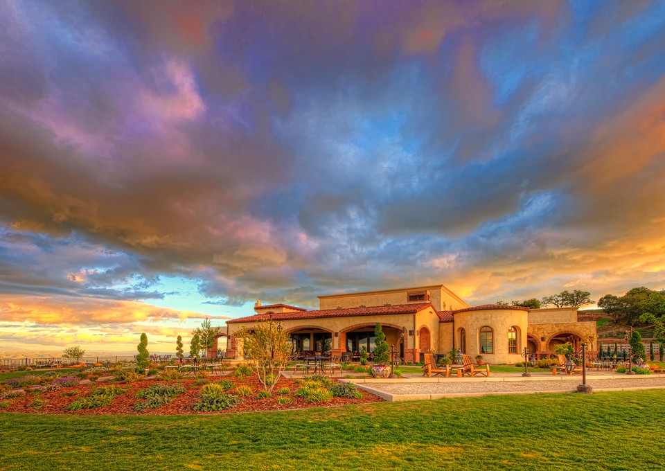 Daou Vineyards: Fine Californian Wine with a Lebanese Twist