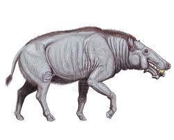 la paleontologia de l'Ot: el Entelodont